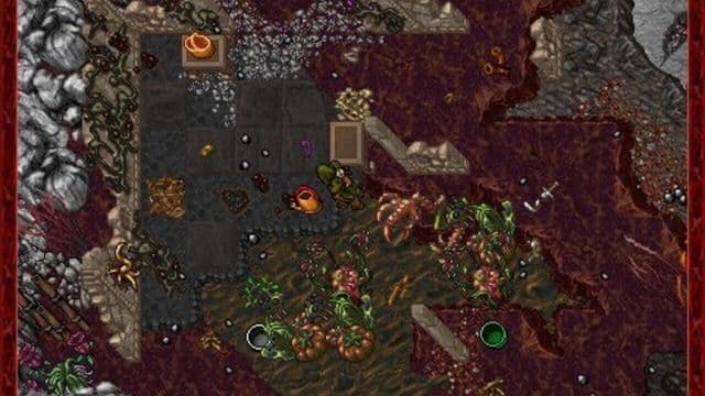 Tibia Active Player Count & Population